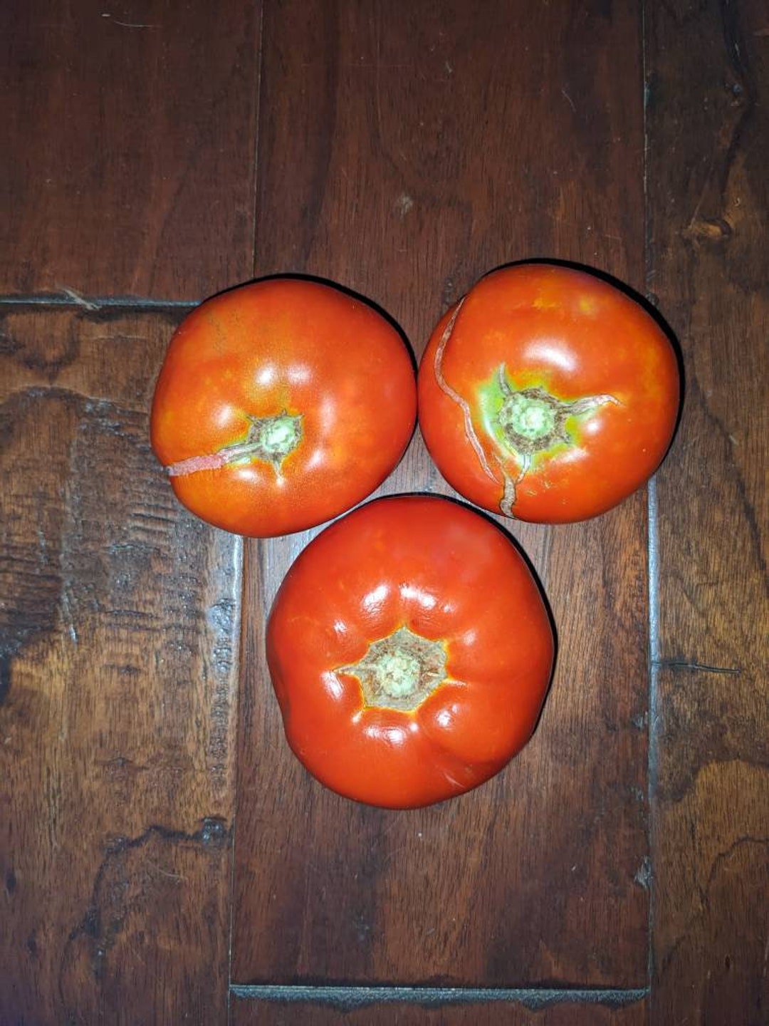 Phil's Fantastic Tomato Seeds (organic) | Red Beefsteak Heirloom Slicer ...