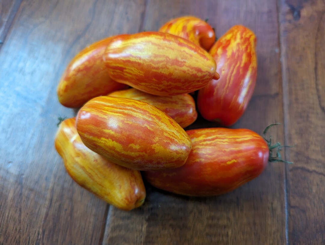 Casady's Folly Tomato Seeds (organic) - Etsy