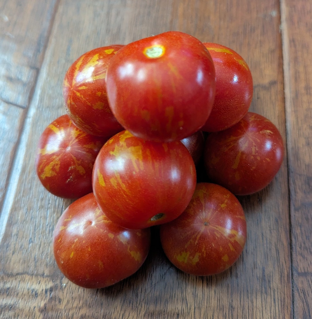 Organic Yipes Stripes Tomato Seeds - Etsy