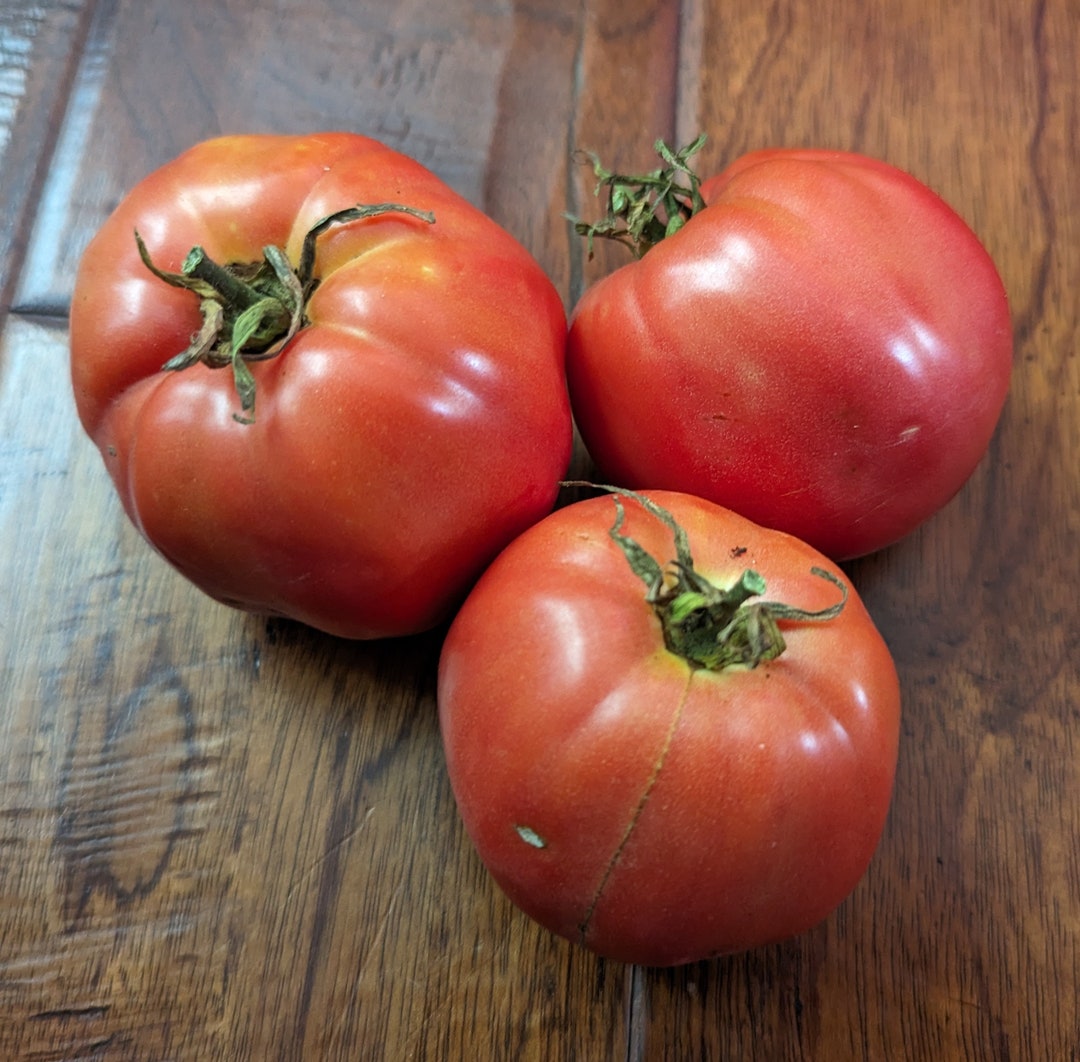 Anna Maria's Heart Tomato Seeds (organic) | Pink Heart Shaped Tomato ...