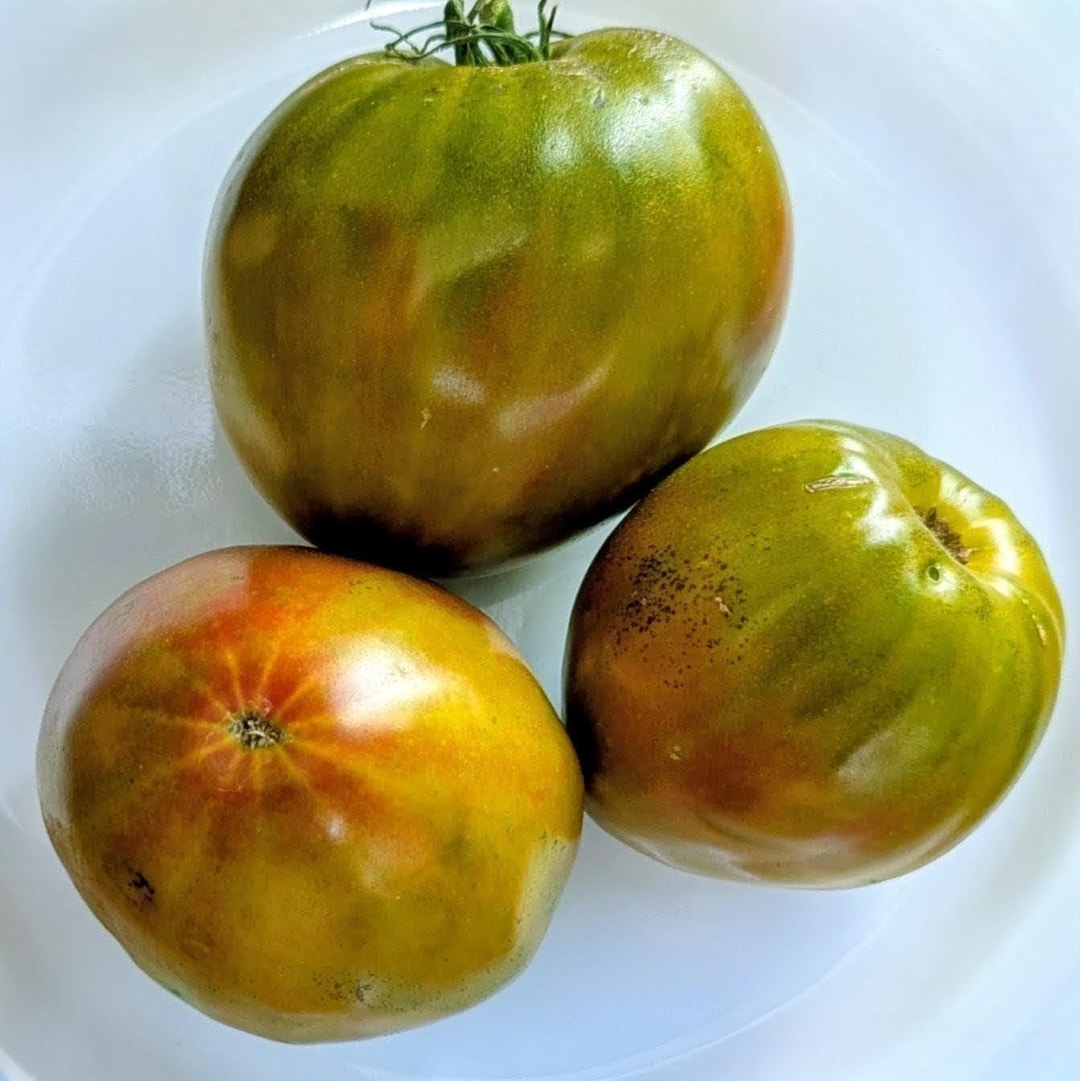 Everett's Rusty Oxheart Tomato Seeds (organic) | Heirloom Beefsteak ...