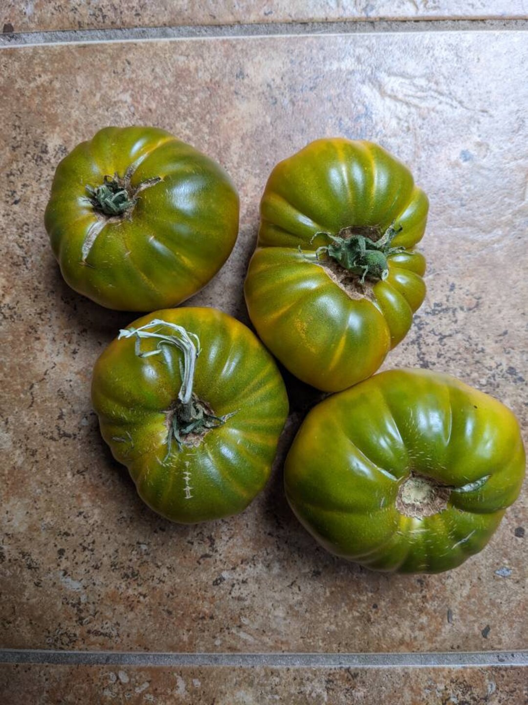 Organic Grub's Mystery Green Tomato Seeds - Etsy
