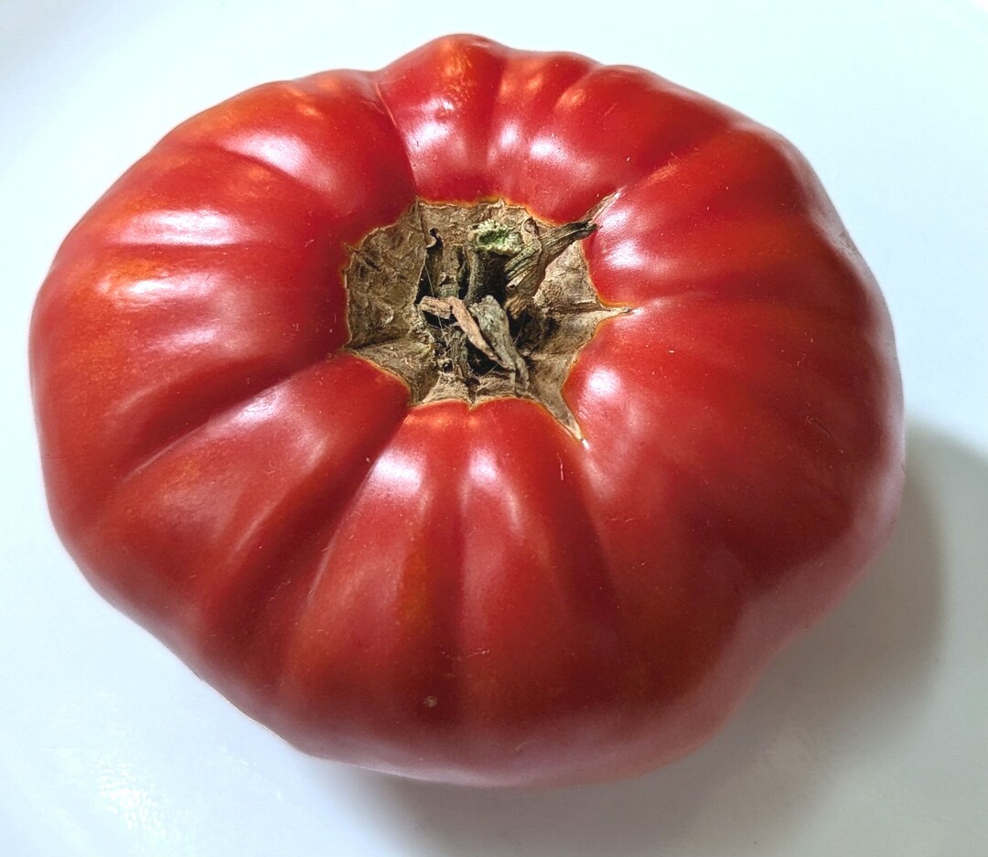 Organic Depp's Pink Firefly Tomato Seeds - Etsy