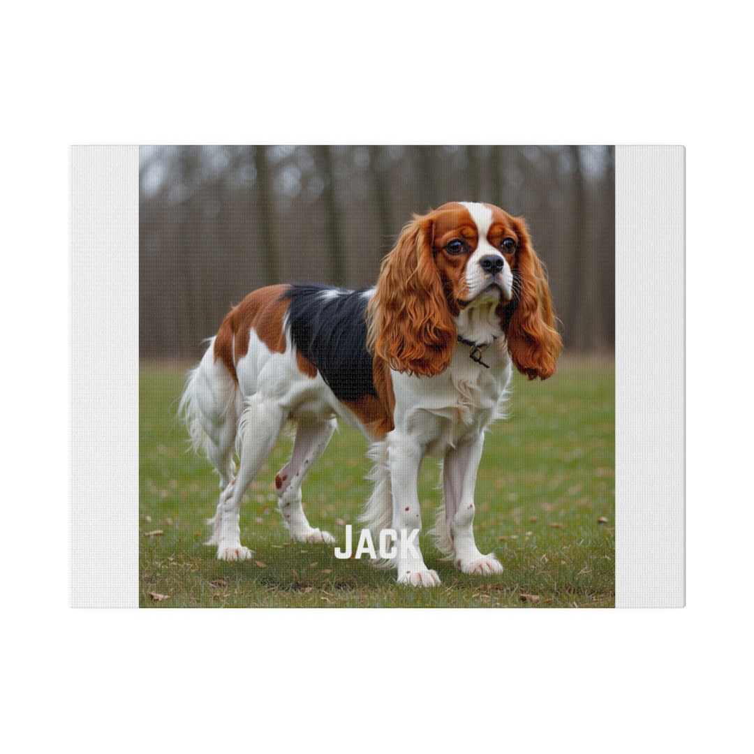 Matte Canvas, Stretched, 0.75" Crafted Photography, Art "paws & Wags ...