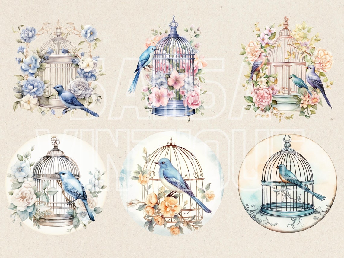 Vintage Bird Cage Watercolor Clipart Set, Retro Floral Cage Free ...