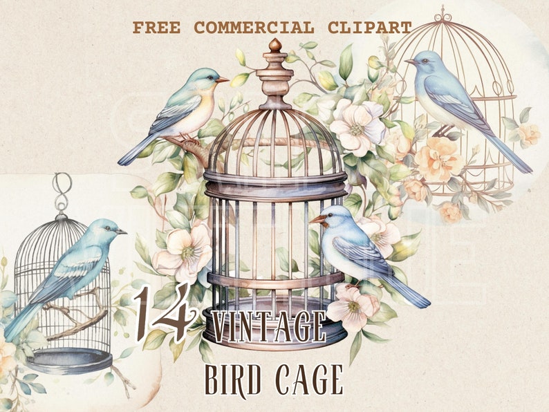 Vintage Bird Cage Watercolor Clipart Set, Retro Floral Cage Free ...