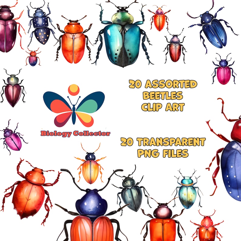 20 BEETLE CLIP ART, Assorted Bug Clip Art, Png Transparent Background ...