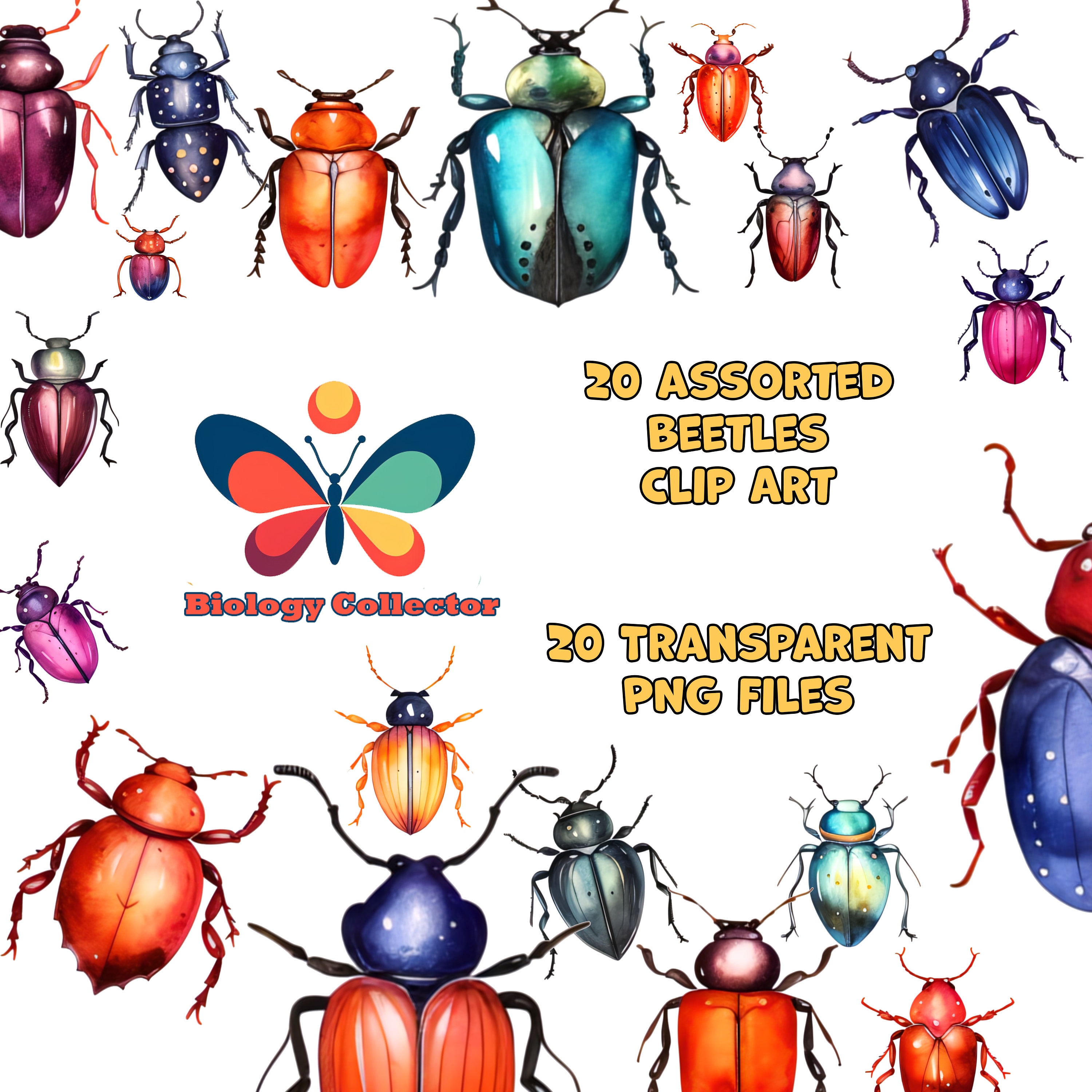 20 BEETLE CLIP ART, Assorted Bug Clip Art, Png Transparent Background ...