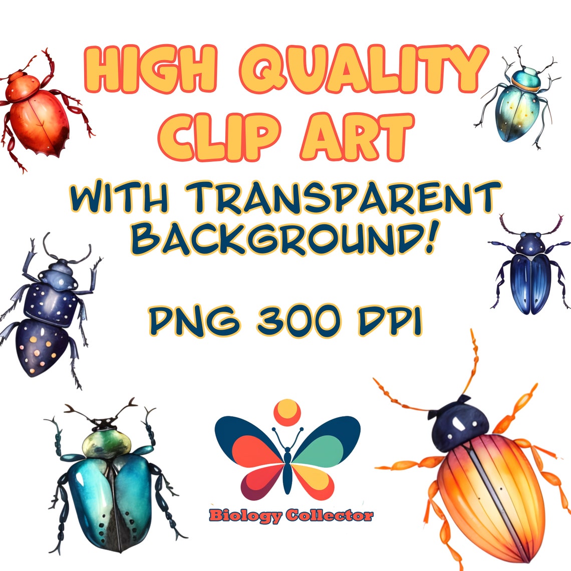 20 BEETLE CLIP ART, Assorted Bug Clip Art, Png Transparent Background ...
