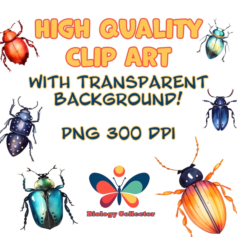 20 BEETLE CLIP ART, Assorted Bug Clip Art, Png Transparent Background ...