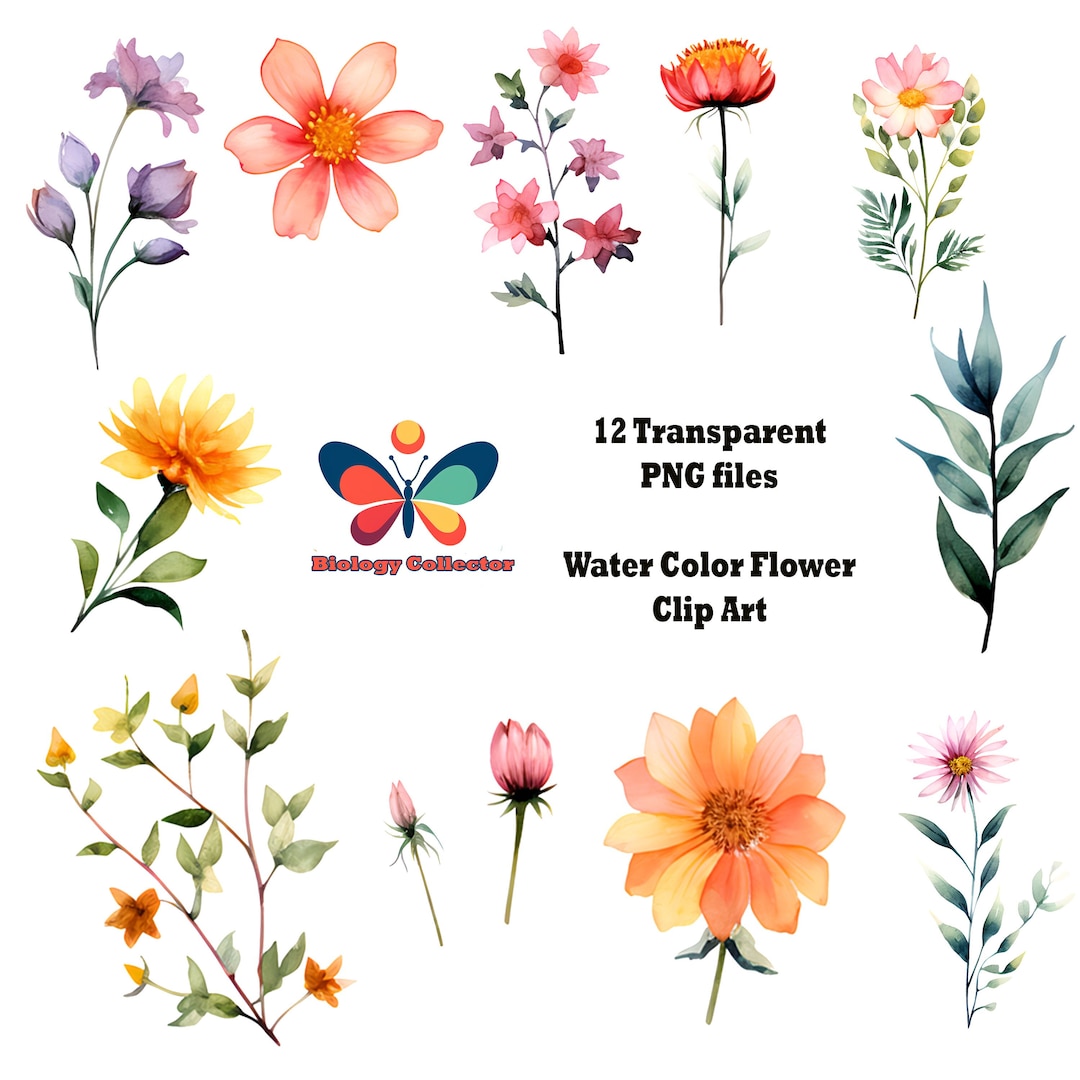 12 Water Color Clip Art Water Color Flowers PNG Flower - Etsy