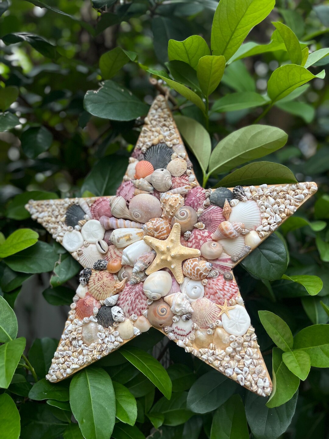 Unique Star Shell Wall Hanging - Etsy