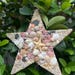 Unique Star Shell Wall Hanging - Etsy