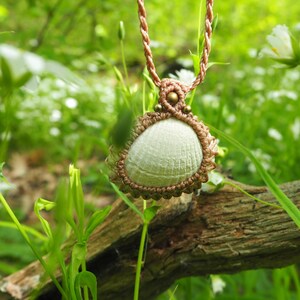 Handmade Macrame Shell Necklace - Etsy
