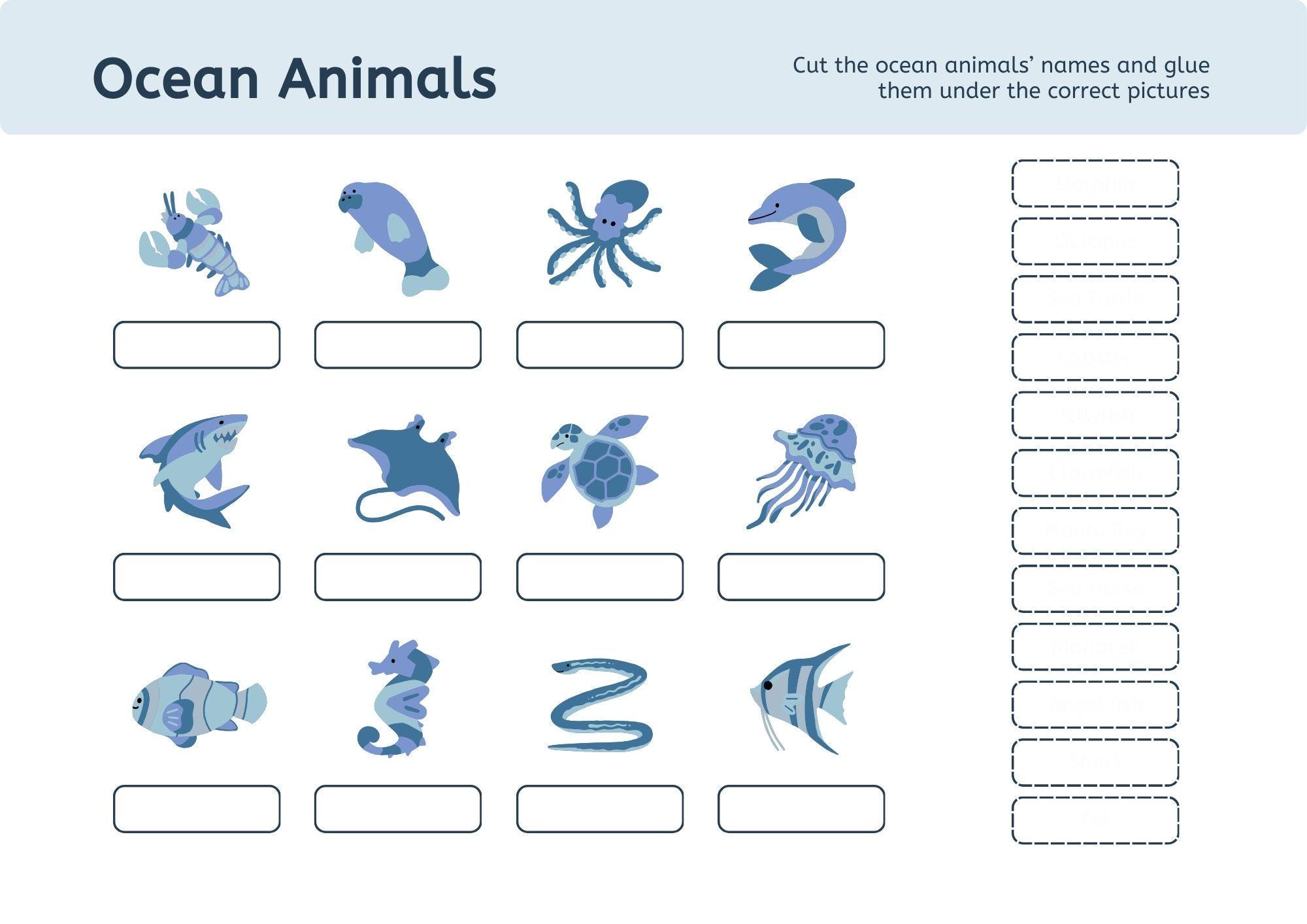 Montessori Ocean Zones and Animals Printable Graphing Preschool ...