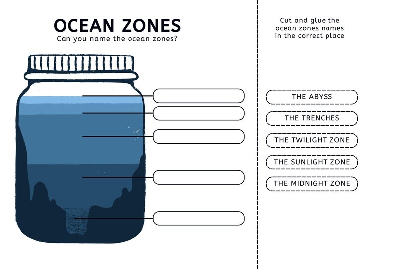 Montessori Ocean Zones and Animals Printable Graphing Preschool Activity. Kindergarten Math ...