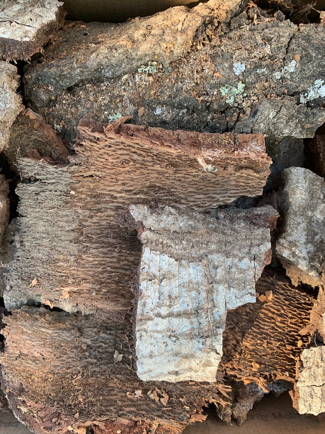 Natural Oak Bark Wood 10" X 7" X4" Box Bbq/smoker Wood - Etsy
