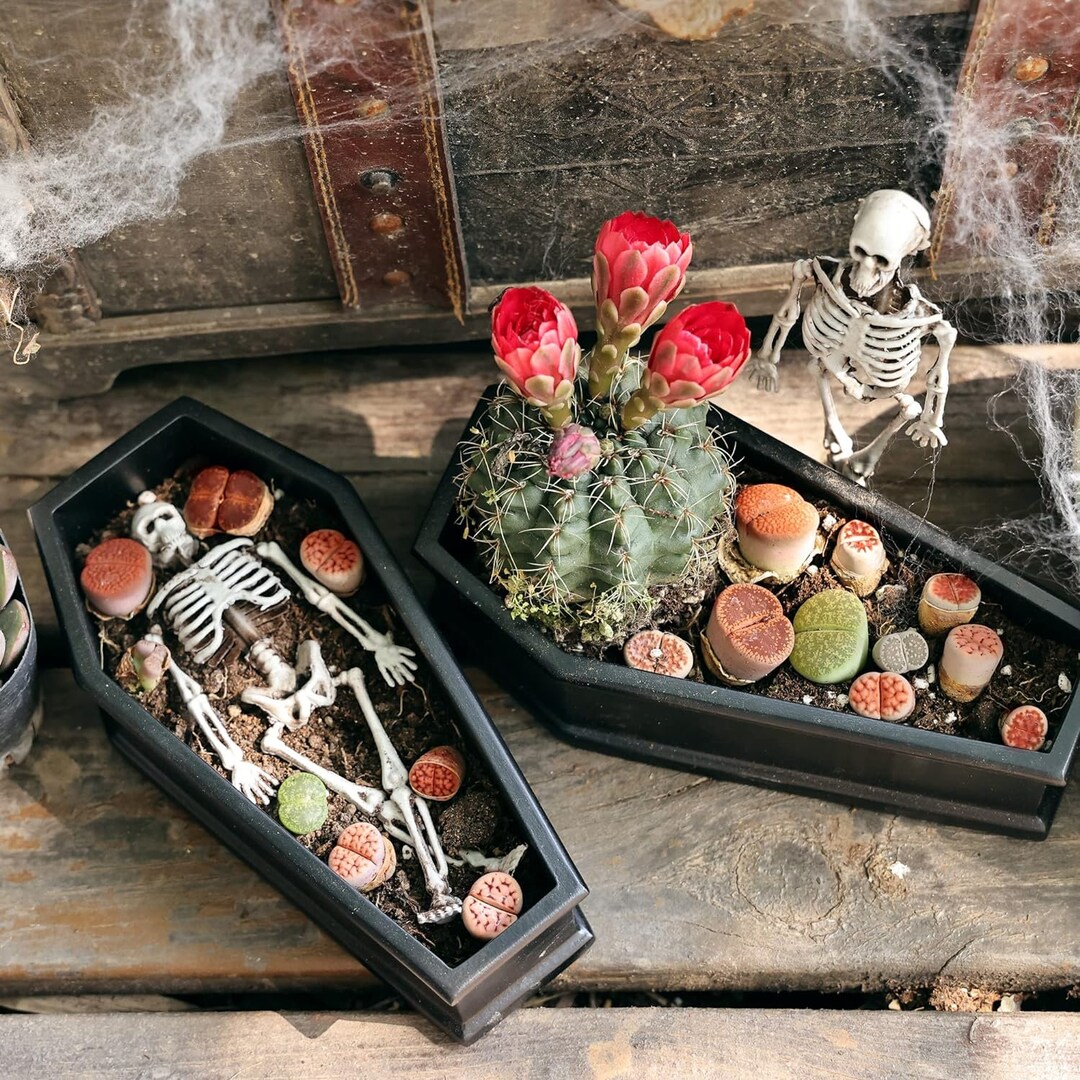Coffin Planter, Gothic Succulent Pot, Halloween Decor, 3D Printed Plant ...