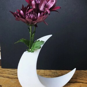 Crescent Moon Vase Planter, 3D Printed Home Decor, Lunar Planter, Moon ...