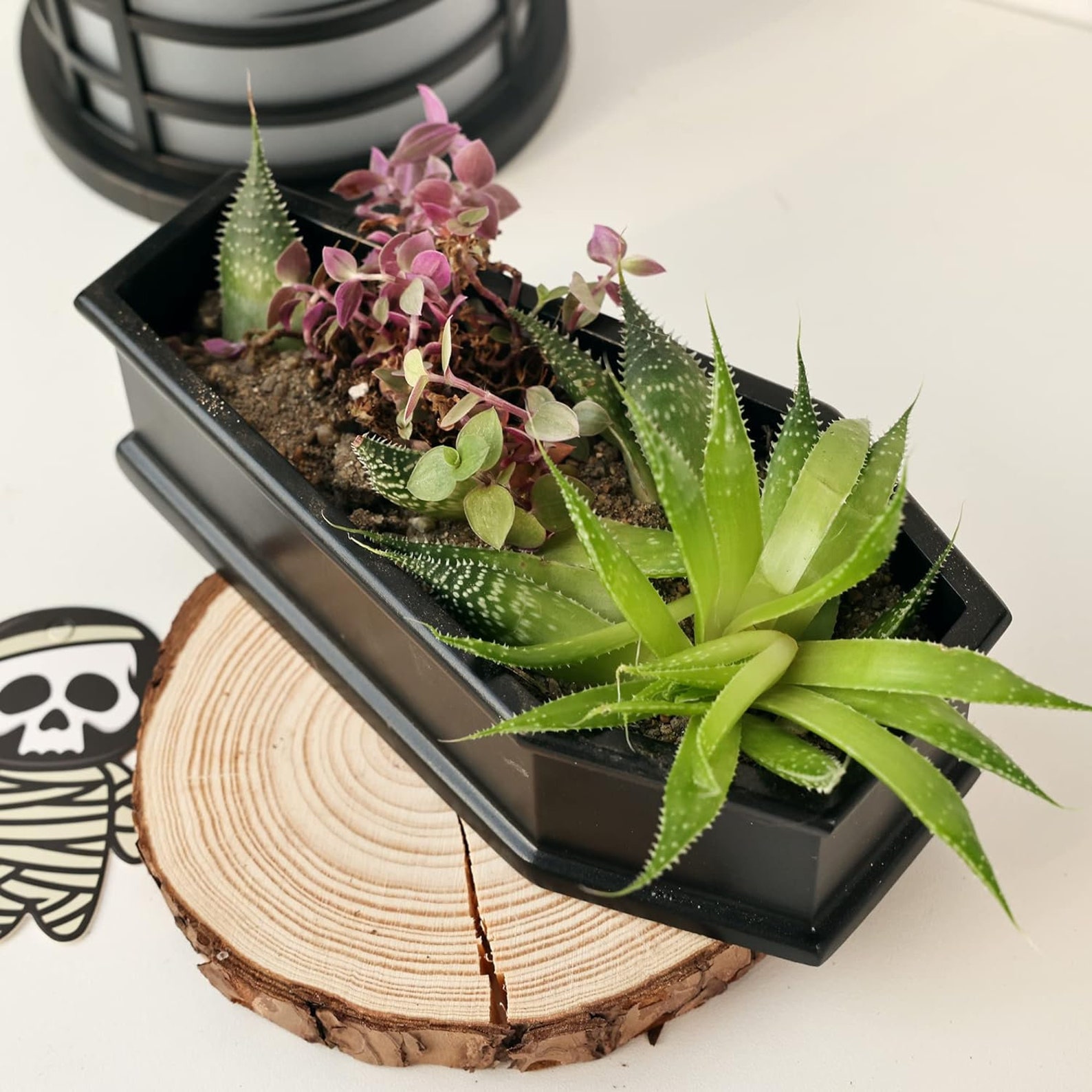 Coffin Planter, Gothic Succulent Pot, Halloween Decor, 3D Printed Plant ...