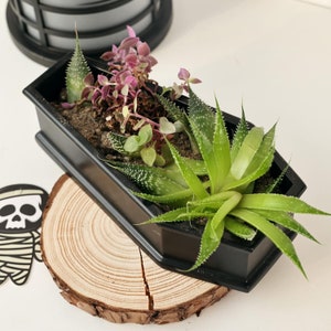 Coffin Planter, Gothic Succulent Pot, Halloween Decor, 3D Printed Plant ...