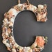 CUSTOM Made,shell Arrow, Shell, Ocean Decor, Gifts SHELL Letters - Etsy