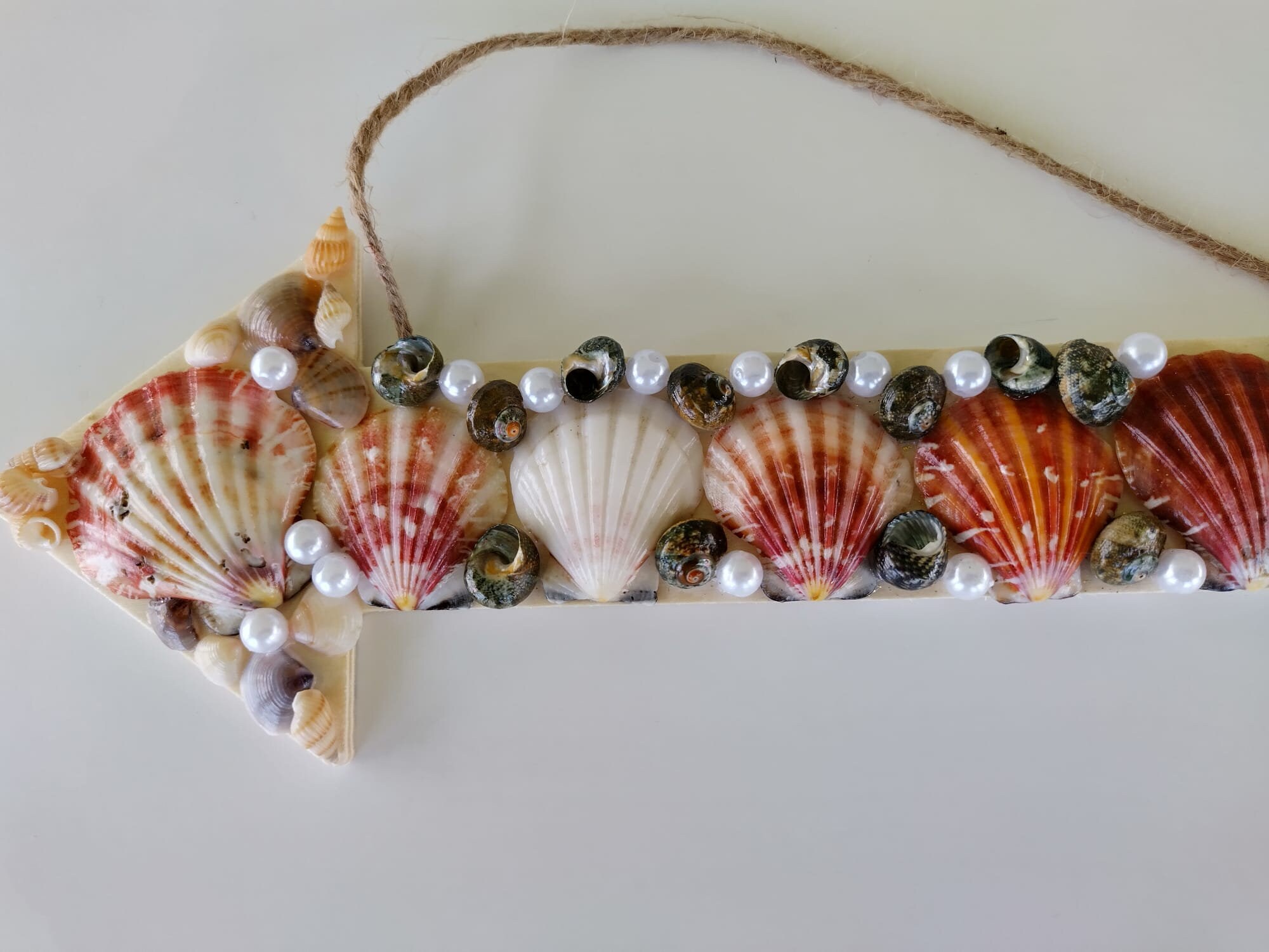 CUSTOM MADE, Shell Arrow, Shell, Ocean Decor, Gifts - Etsy