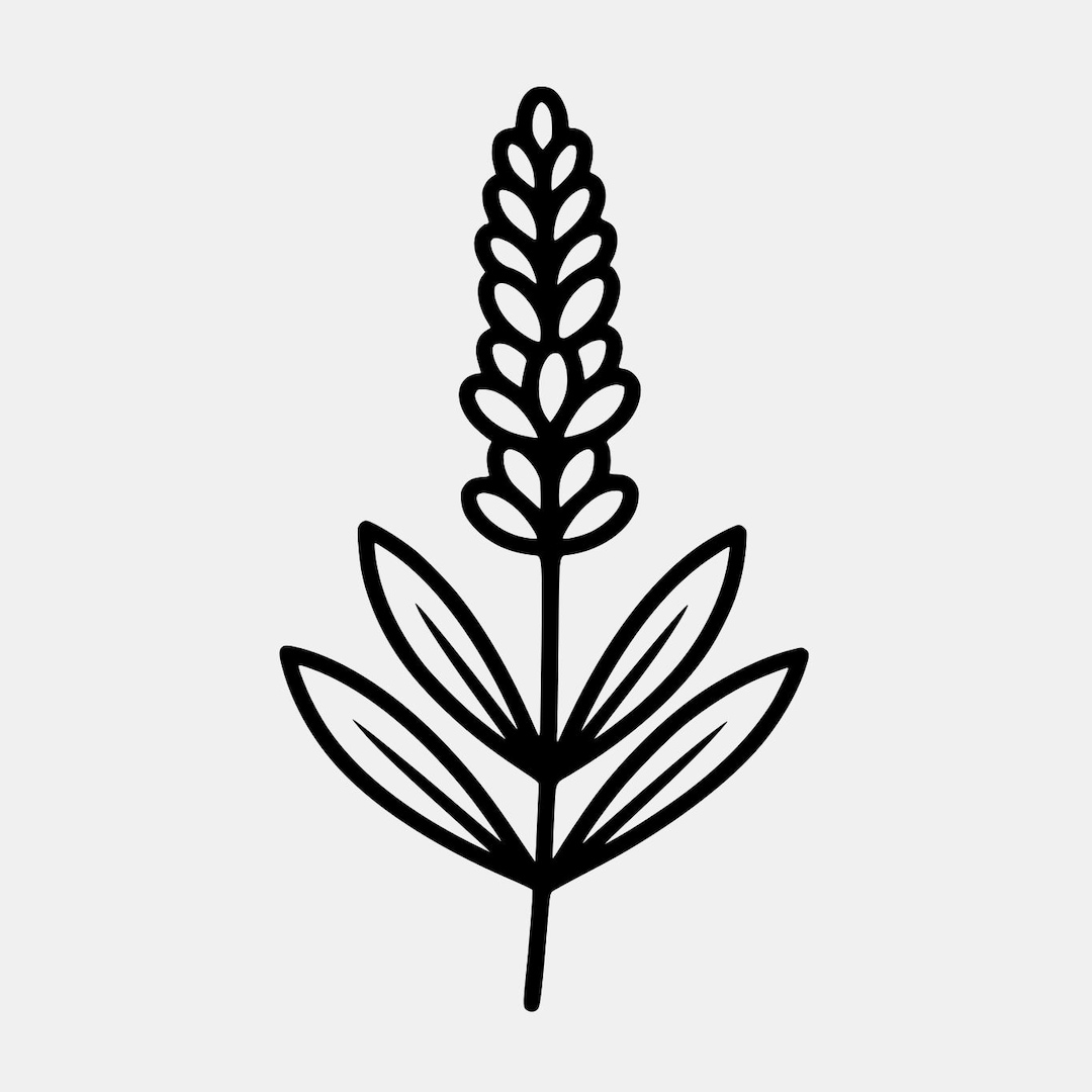 Lavender Botanical Outline SVG, Simple Line Art Flower Clipart for ...