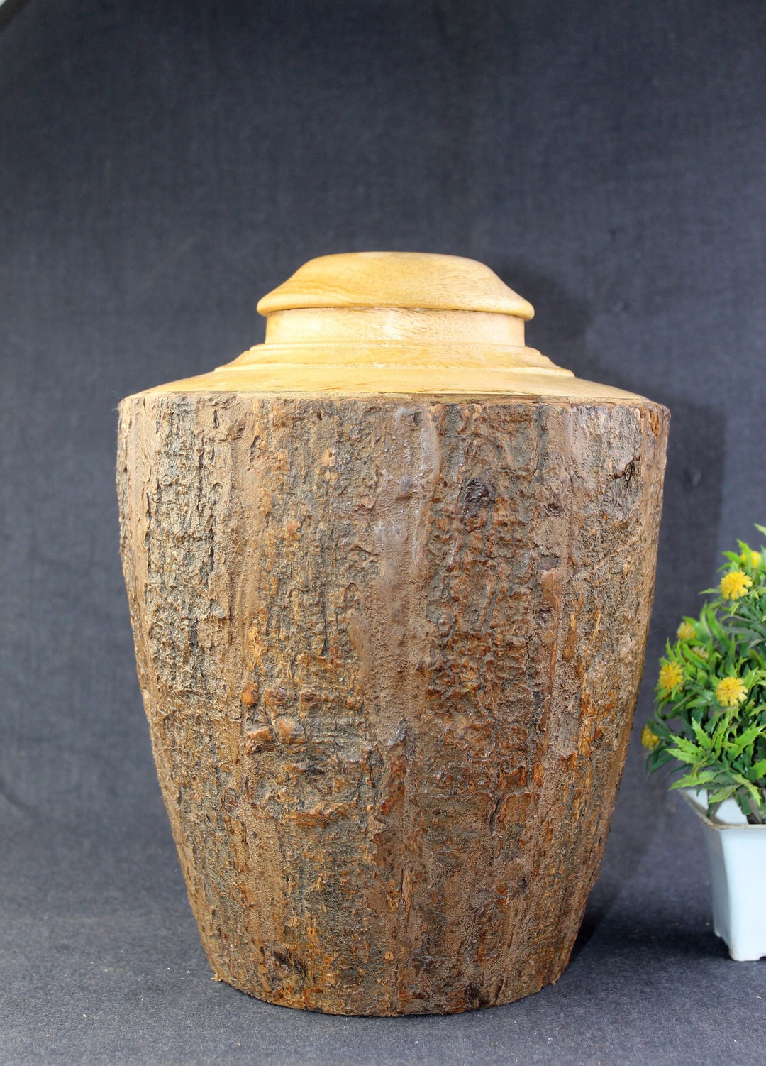 Rosewood Bark Urn for Human Ashes Cremation Urn Handmade - Etsy