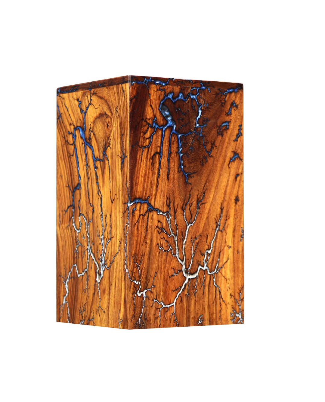 Personalized Urn for Human Ashes, Cremation Urn, Lichtenberg Figure Urn ...