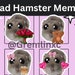 Sad Hamster Emote With Pink Bow, Tiktok Meme, Twitch, Discord, Youtube ...