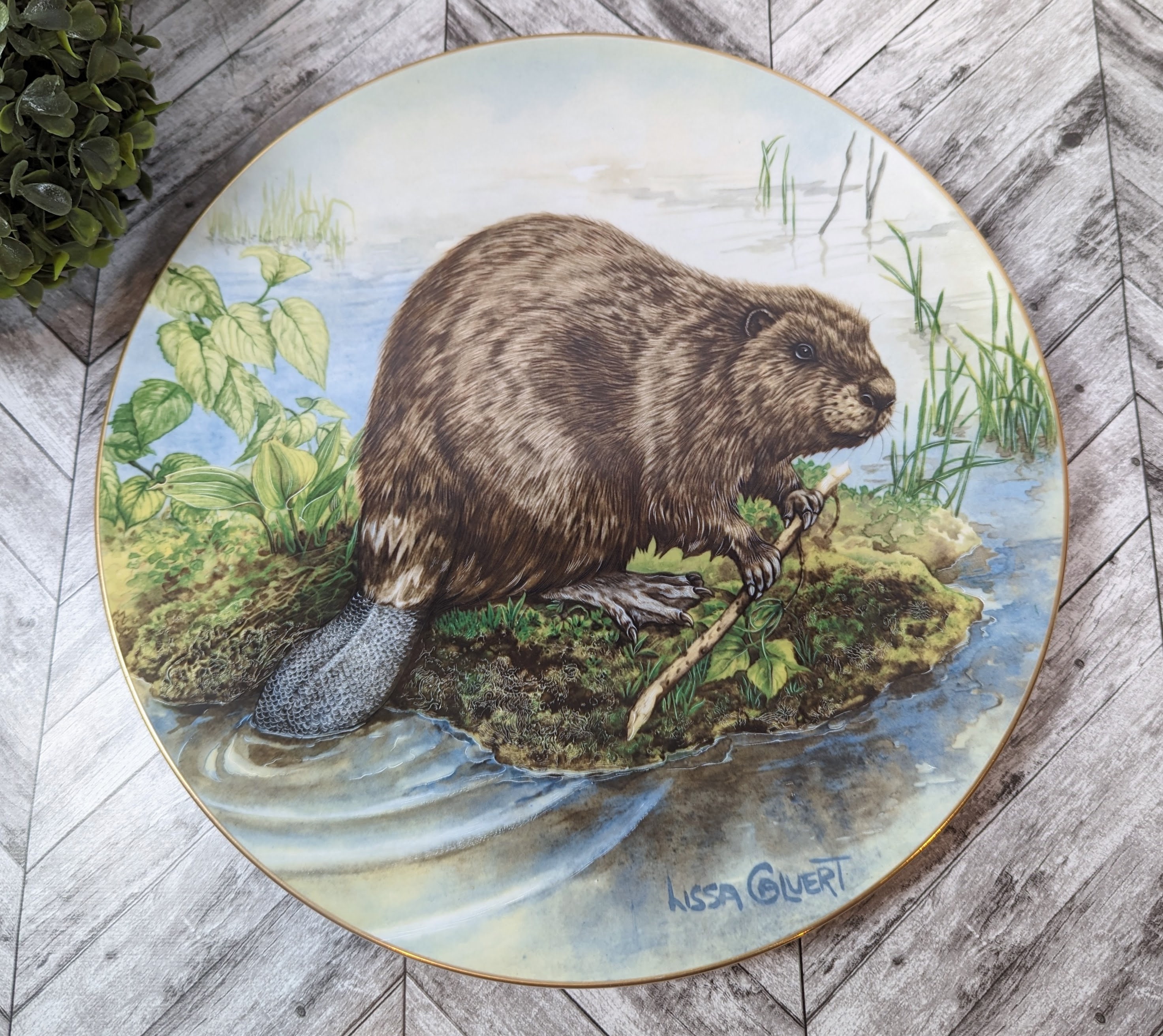 Lissa Calvert Goebel Wildlife Beaver Mancave Wall Plate Plaque - Etsy
