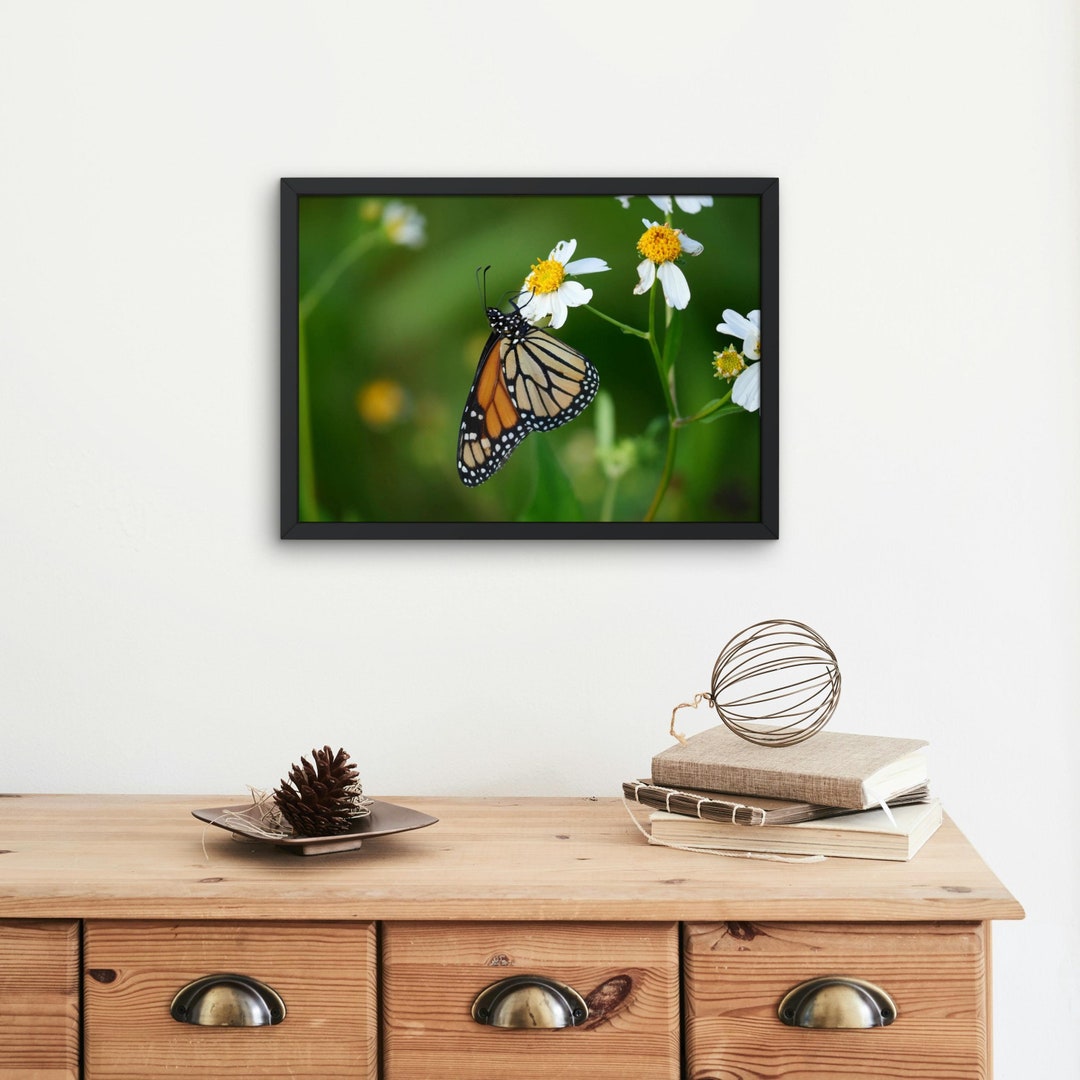 Butterfly Photography, Flower, Wall Art, Instant Download, Printable ...