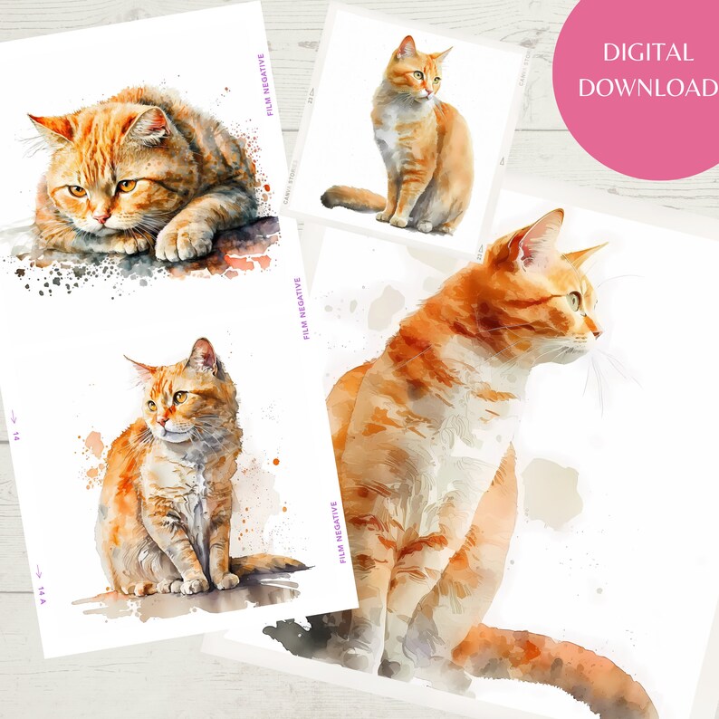Orange Cat Watercolour Clipart Bundle, PNG Digital Download Bundles ...