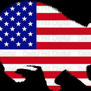 Raccoon USA Flag Digital Download, Independence Day PNG, 4th of July ...