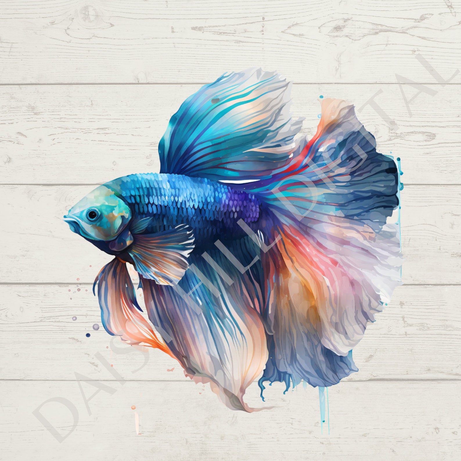 Betta Fish Watercolour Clipart Bundle Betta Fish Png - Etsy