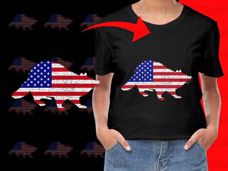 Raccoon USA Flag Digital Download, Independence Day PNG, 4th of July ...
