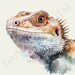 Bearded Dragon Watercolour Clipart Bearded Dragon Png Bundle Digital ...