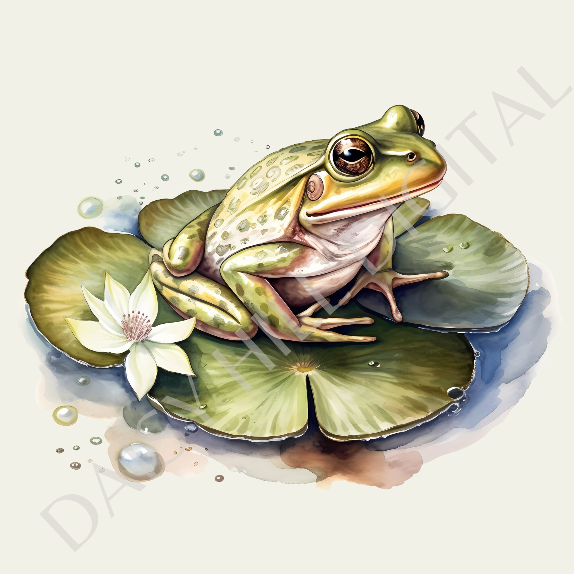 25 Frog Clipart Digital Collage Images Watercolor Frogs Png - Etsy ...