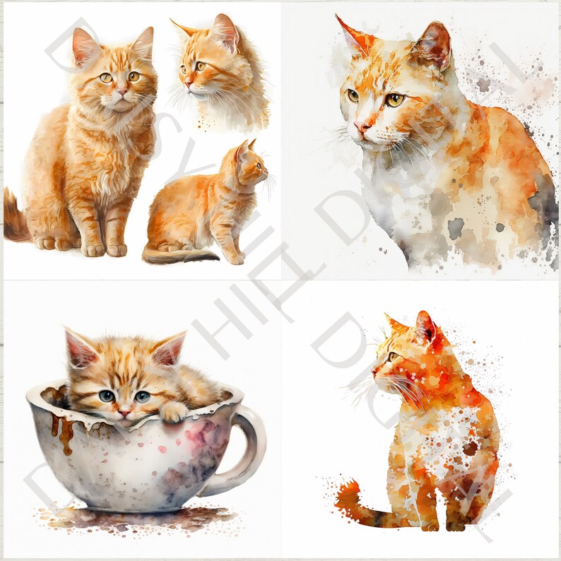 Orange Cat Watercolour Clipart Bundle, PNG Digital Download Bundles ...