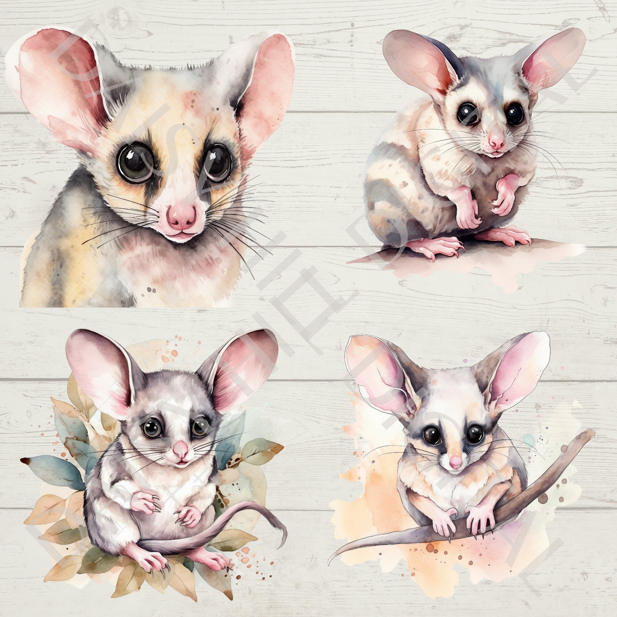 Watercolour Sugar Glider Clip Art Sugar Glider Junk Journal Bundle ...