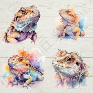 Bearded Dragon Watercolour Clipart Bearded Dragon Png Bundle Digital ...