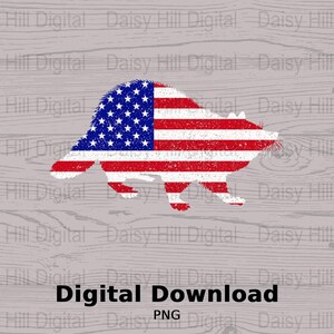 Raccoon USA Flag Digital Download, Independence Day PNG, 4th of July ...