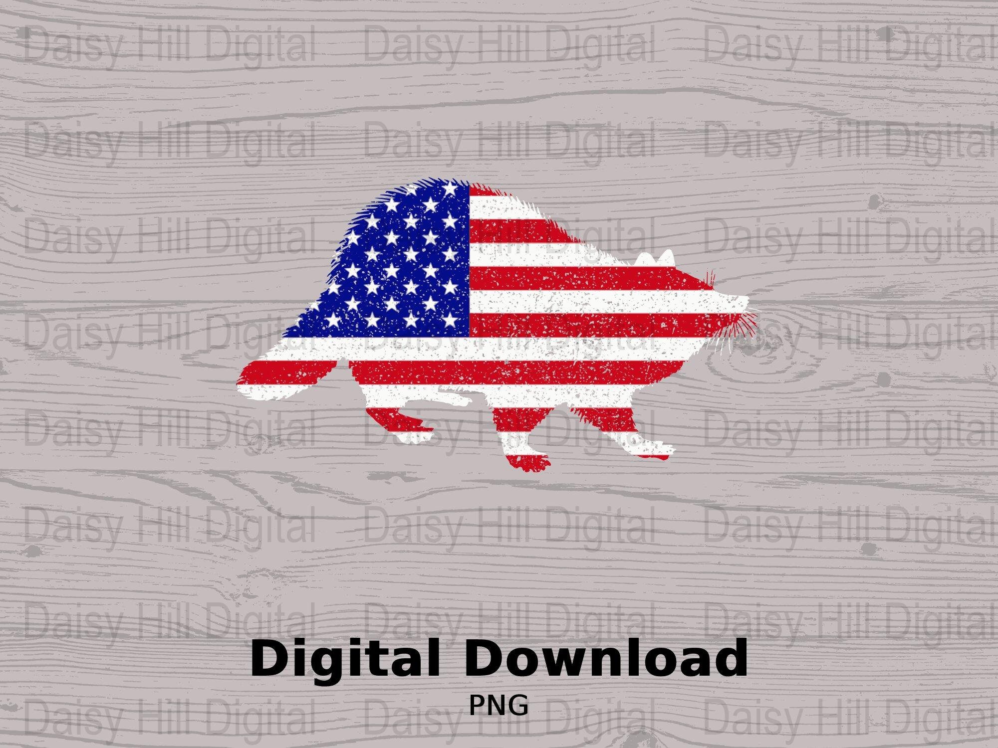 Raccoon USA Flag Digital Download, Independence Day PNG, 4th of July ...