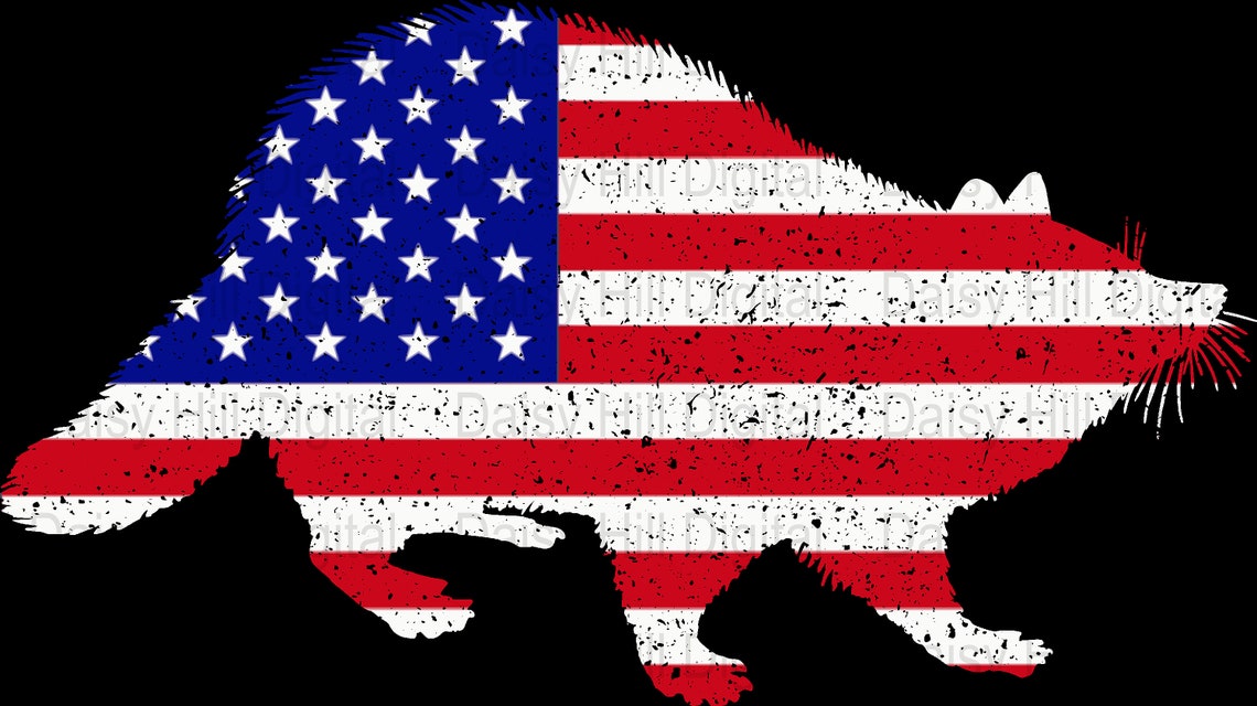 Raccoon USA Flag Digital Download, Independence Day PNG, 4th of July ...