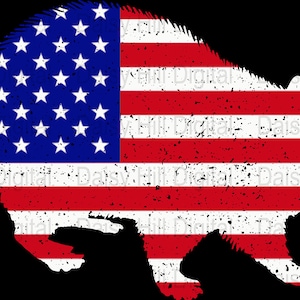 Raccoon USA Flag Digital Download, Independence Day PNG, 4th of July ...