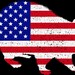 Raccoon USA Flag Digital Download, Independence Day PNG, 4th of July ...