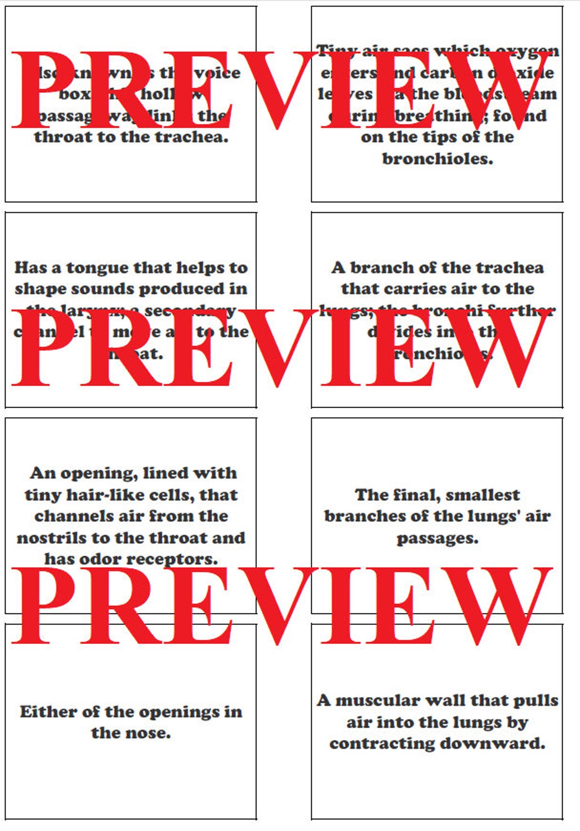 Classical Conversations Challenge A Science Anatomy Flashcards - Etsy