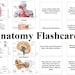 Classical Conversations Challenge A Science Anatomy Flashcards - Etsy