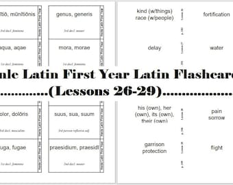 Classical Conversations Challenge B Mock Trial Flashcards - Etsy